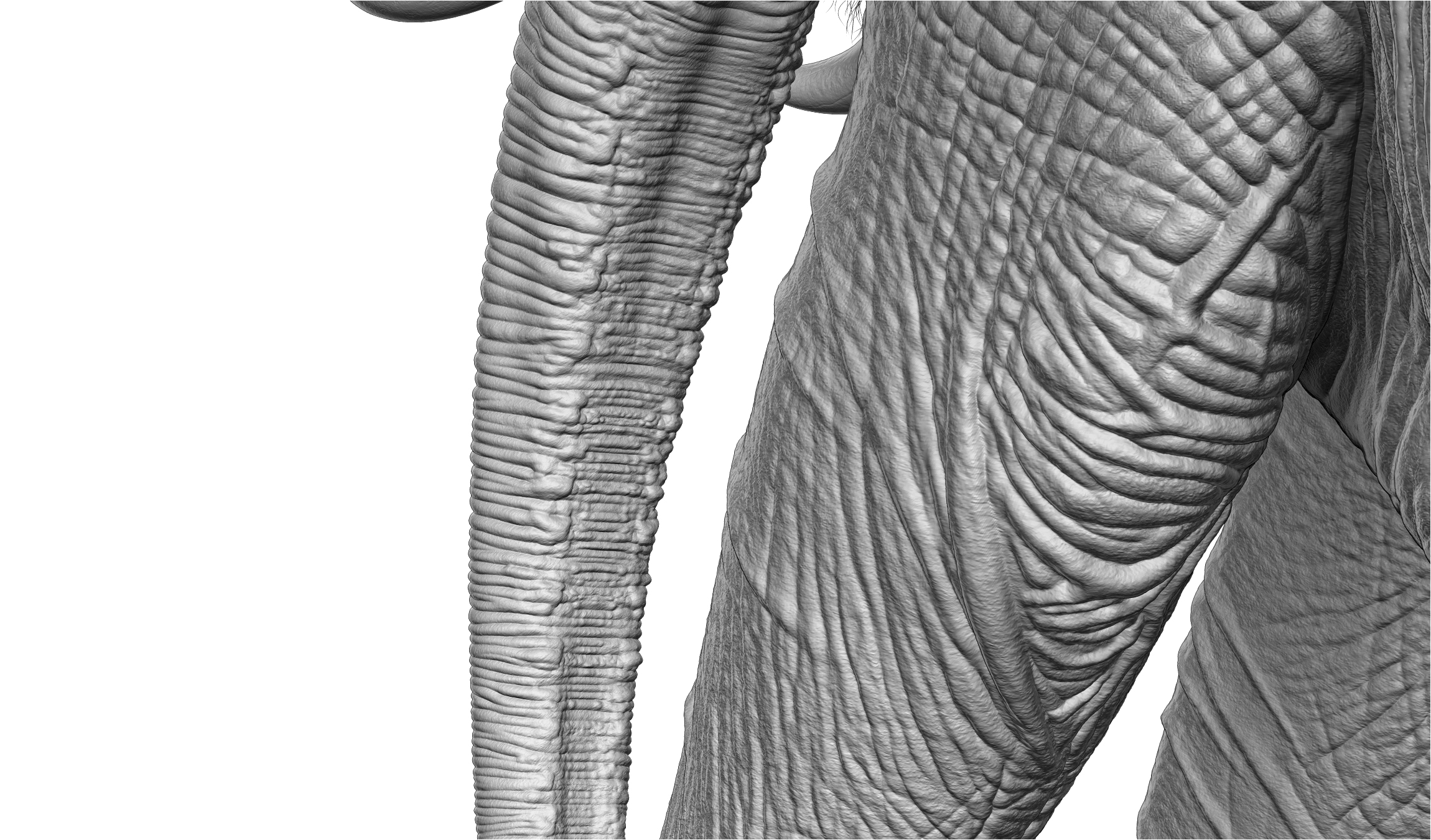 modelo 3d Modelo Elefante listo para producción - Sin equipo ...
