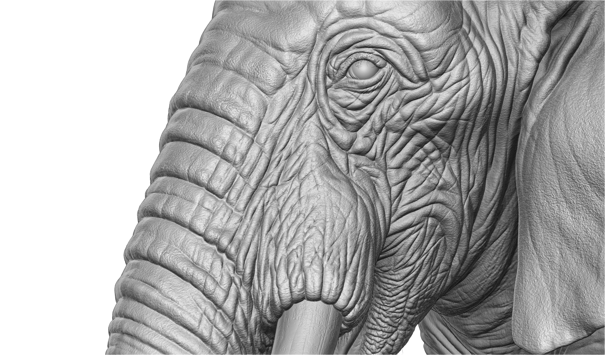 modelo 3d Modelo Elefante listo para producción - Sin equipo ...