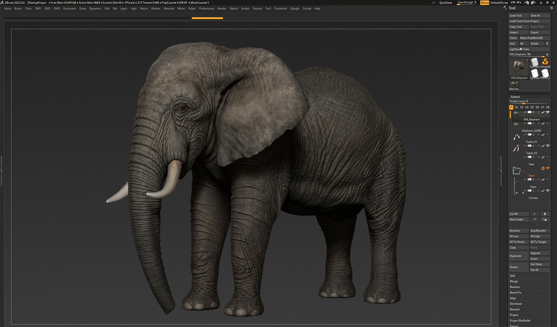 Production Ready Elephant model - No rig 3D model - TurboSquid 2021742