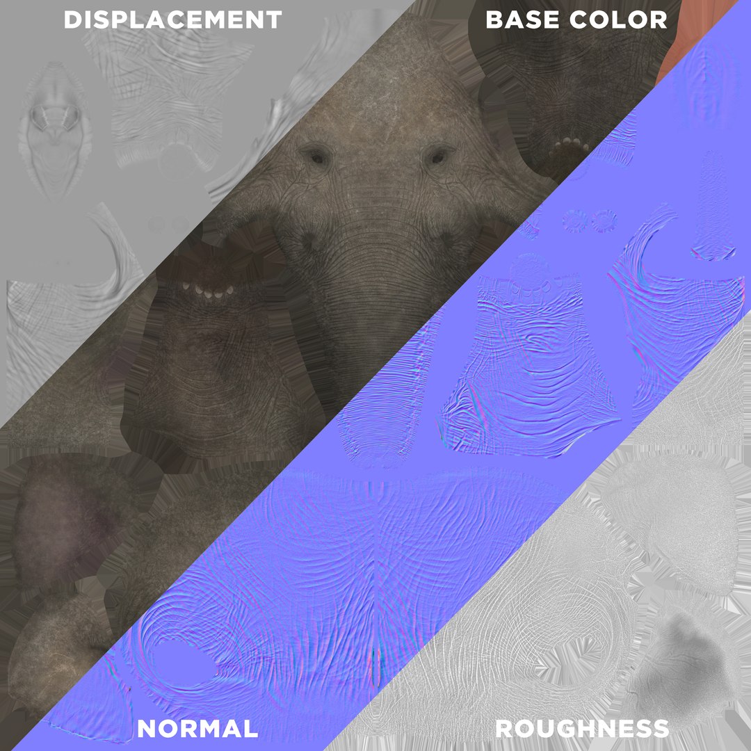 Production Ready Elephant model - No rig 3D model - TurboSquid 2021742