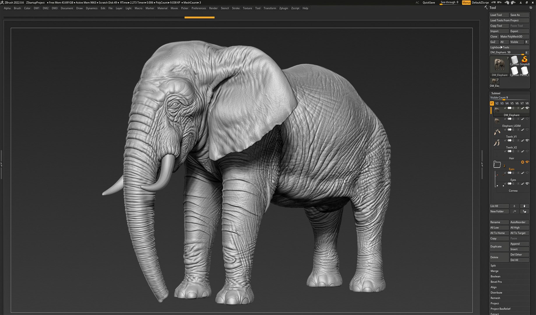 Production Ready Elephant model - No rig 3D model - TurboSquid 2021742