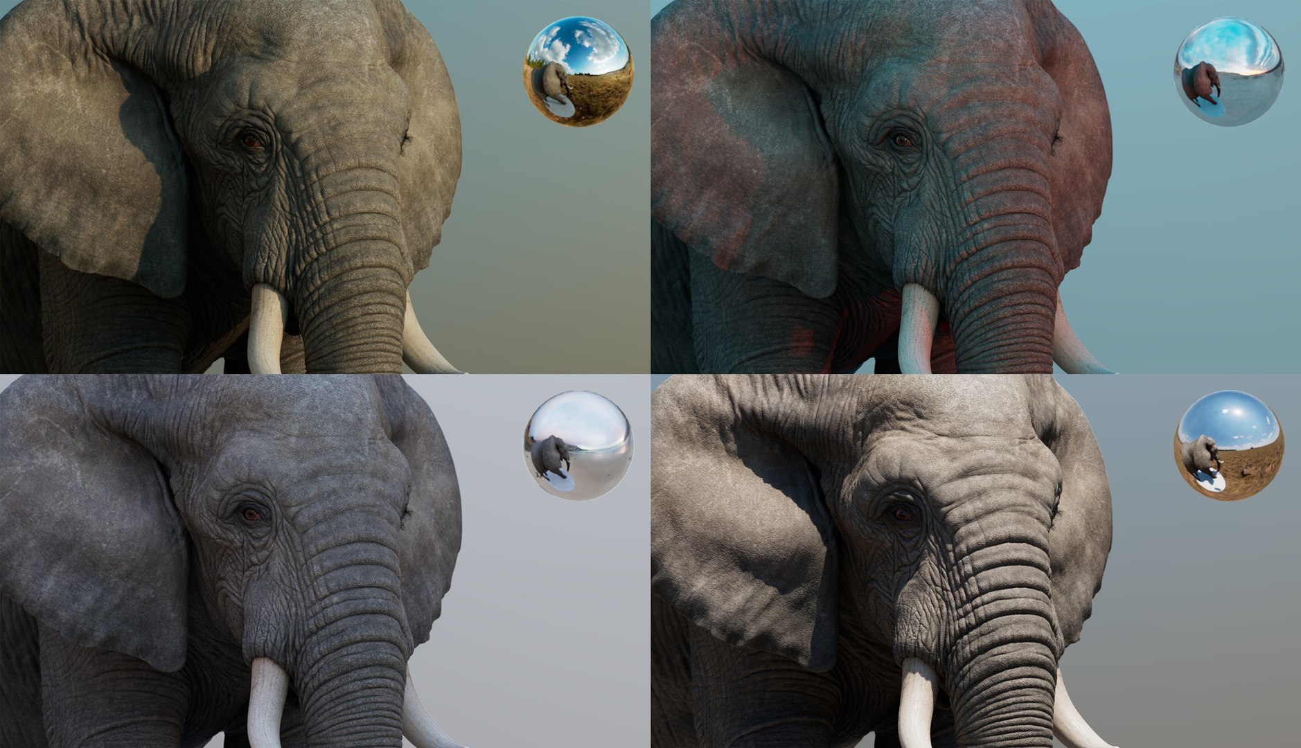 Production Ready Elephant model - No rig 3D model - TurboSquid 2021742