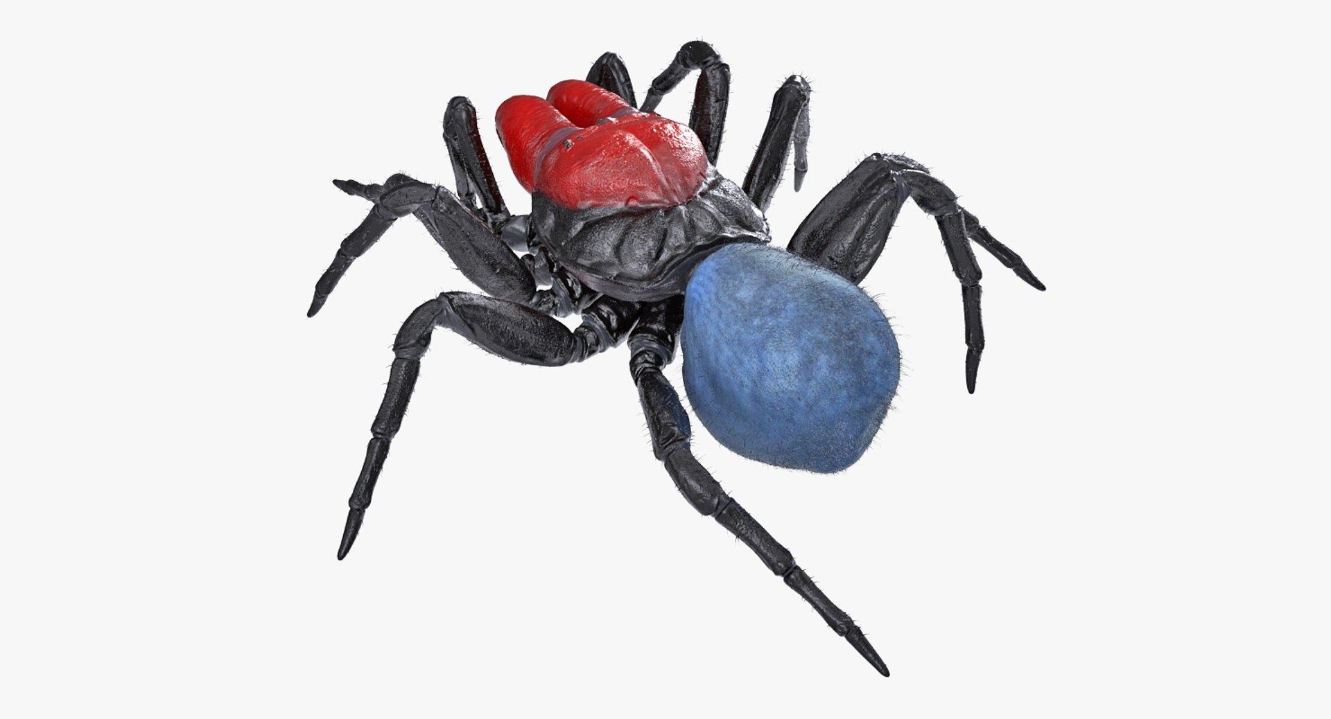 3D Rigged Spiders Model - TurboSquid 1225679