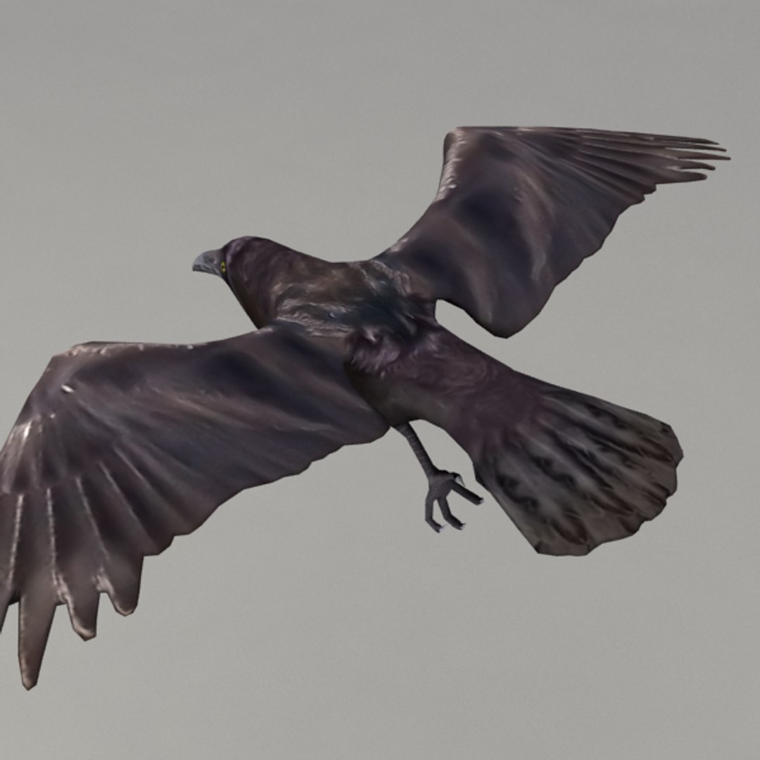 Obj Rigged Raven