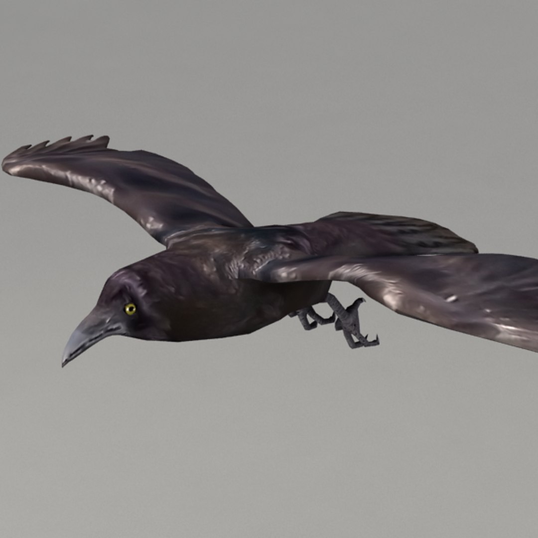 Obj Rigged Raven