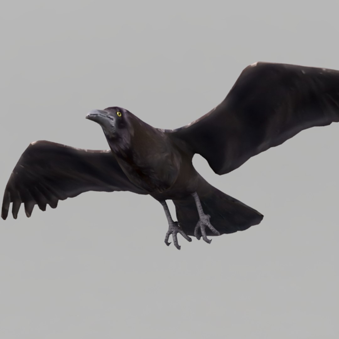 Obj Rigged Raven