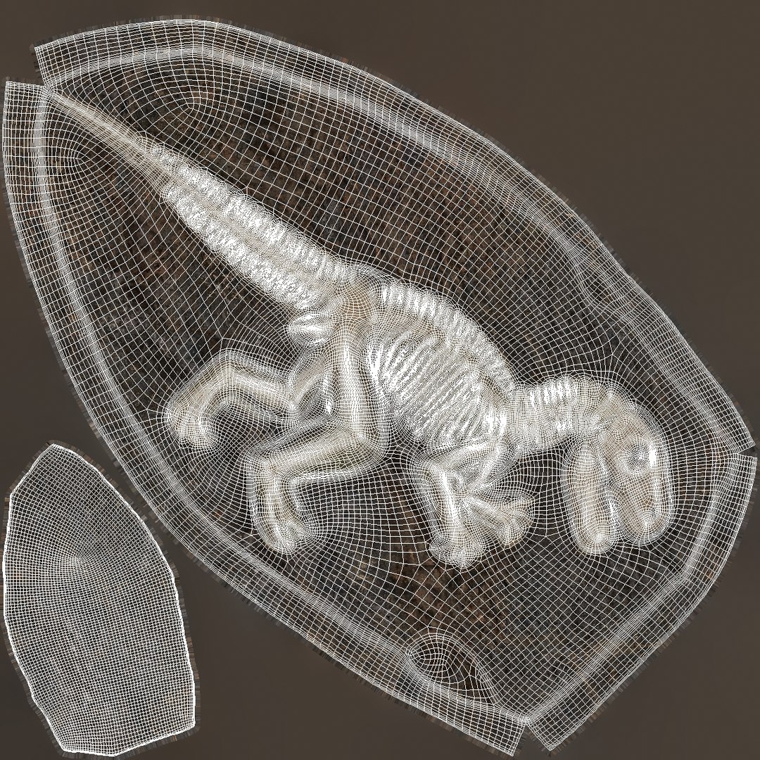 3D 9 Textured Dinosaur Fossils Collection 1 Model - TurboSquid 2300476