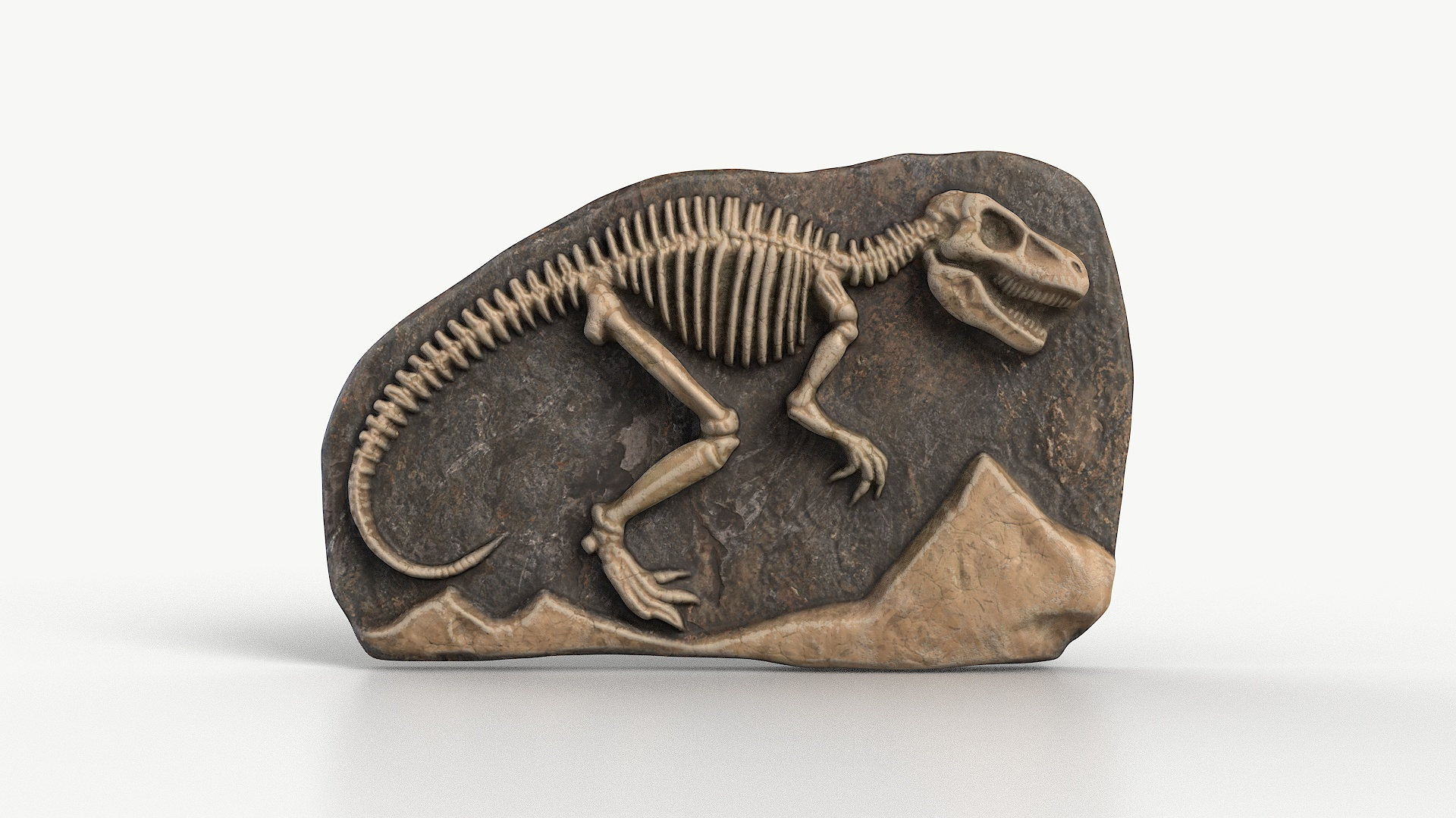 3D 9 Textured Dinosaur Fossils Collection 1 Model - TurboSquid 2300476