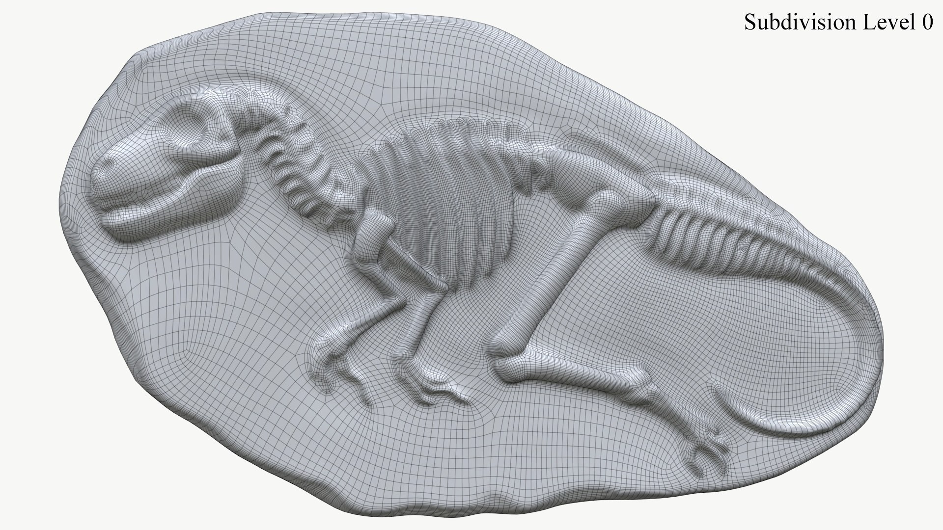 3D 9 Textured Dinosaur Fossils Collection 1 Model - TurboSquid 2300476