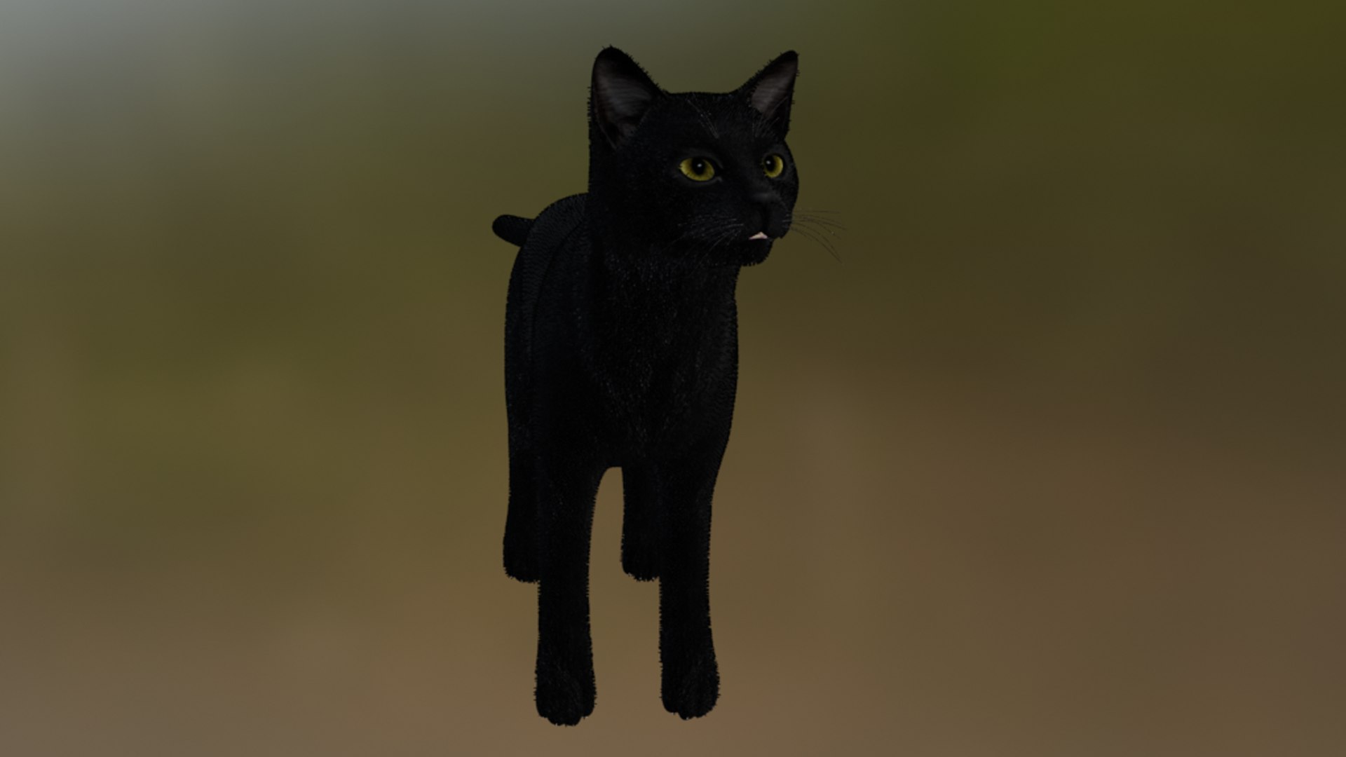 Cat Of Failure 3D - TurboSquid 2374935