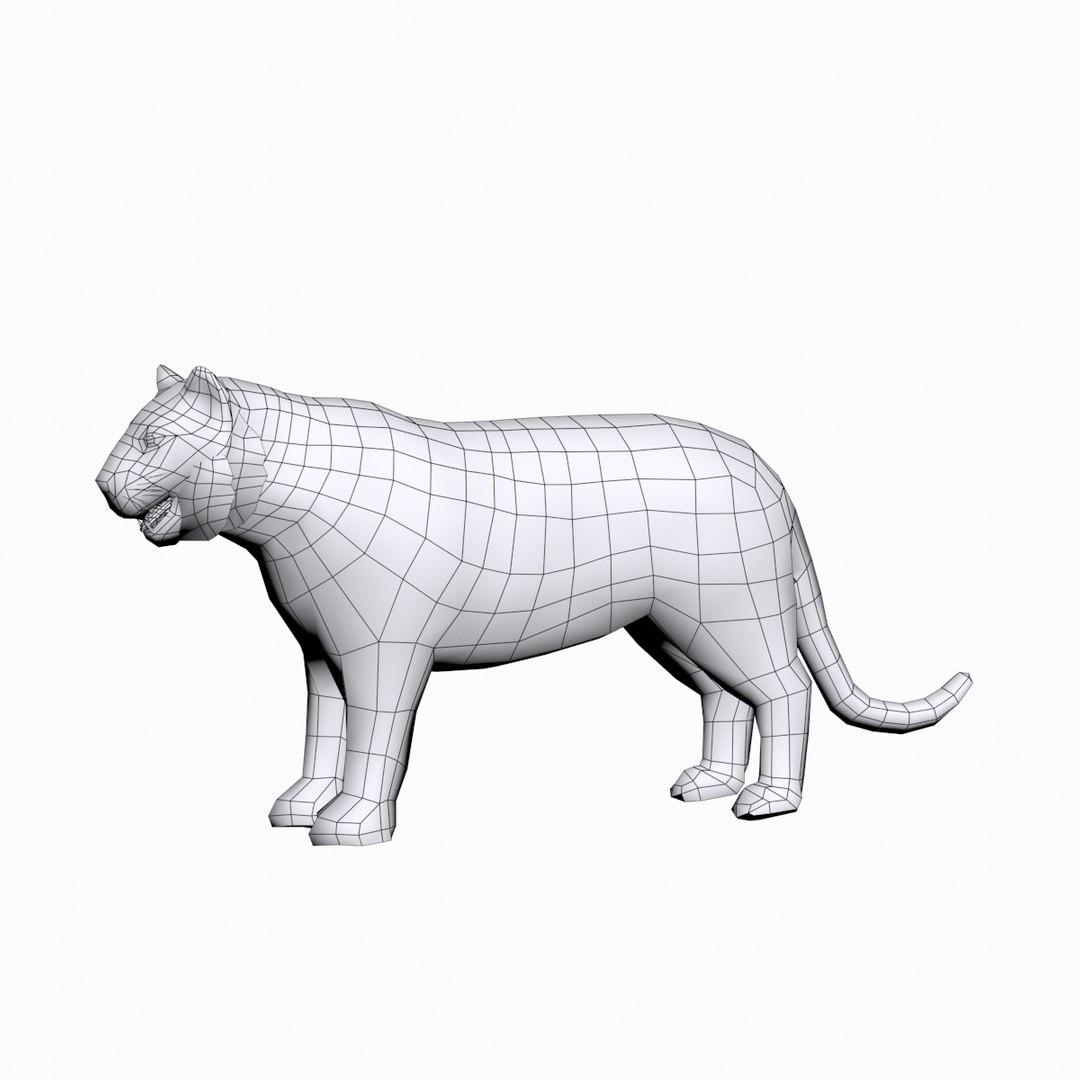 3d Tiger Model
