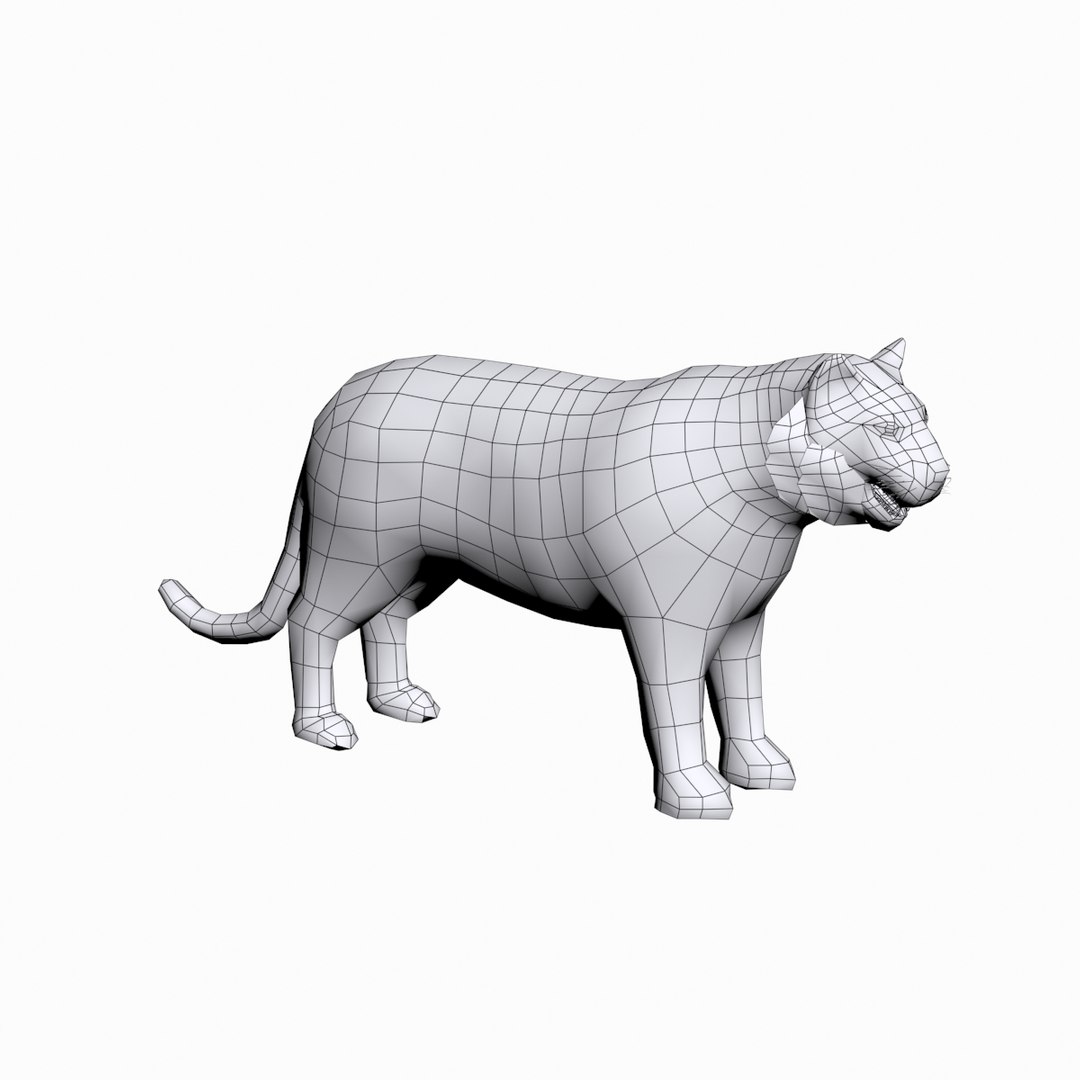3d Tiger Model