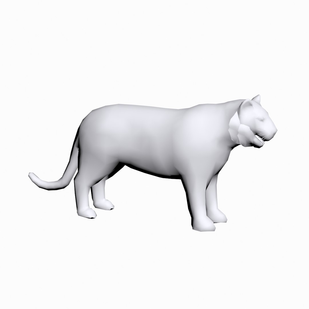 3d Tiger Model
