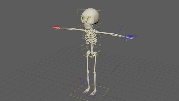 3D model Stylized Cartoon Skeleton - Rigged for Maya - TurboSquid 1880734
