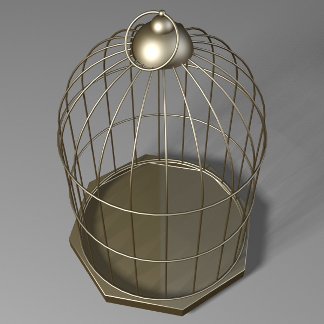 Cage 3d Model