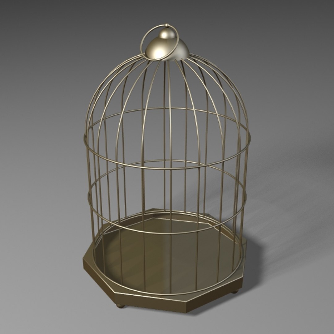 Cage 3d Model