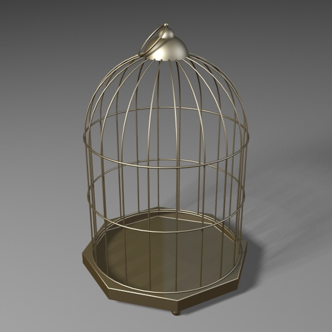 Cage 3d Model