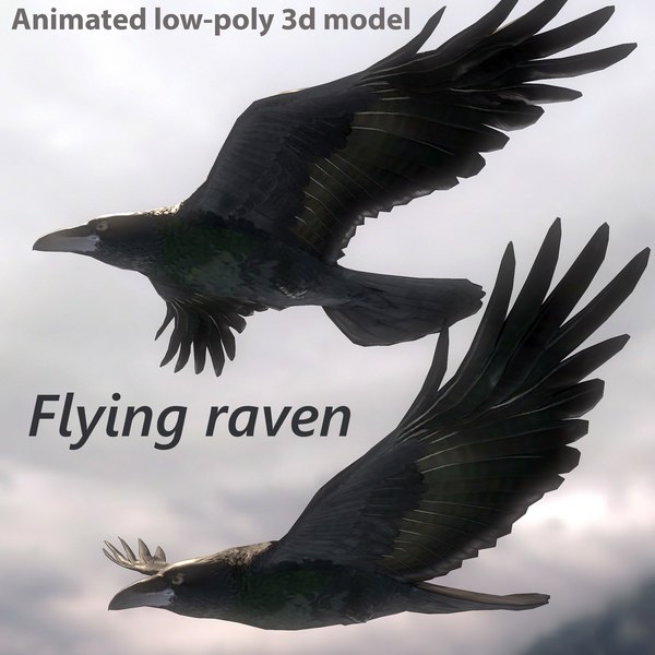 3d model chihuahuan raven animation flying