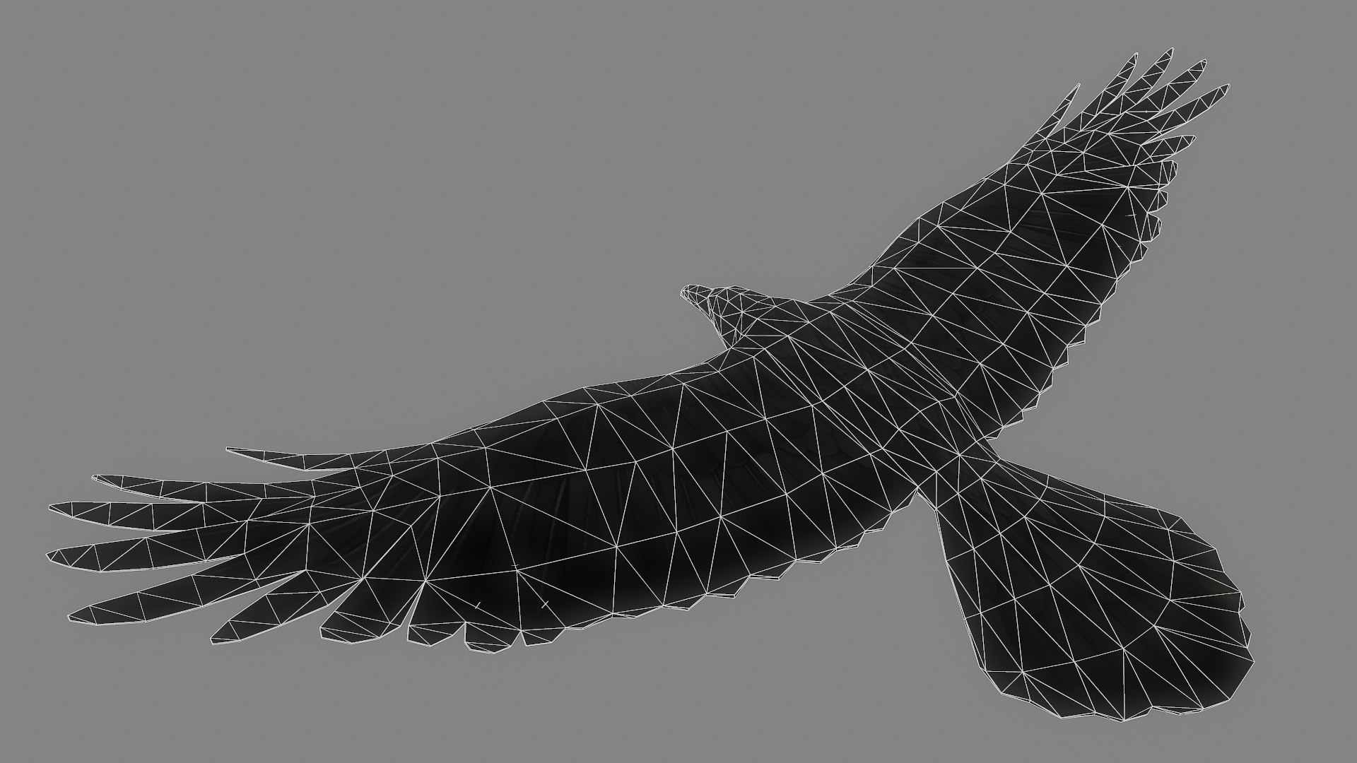 Flying Raven Low-poly 3D Model - TurboSquid 1839813