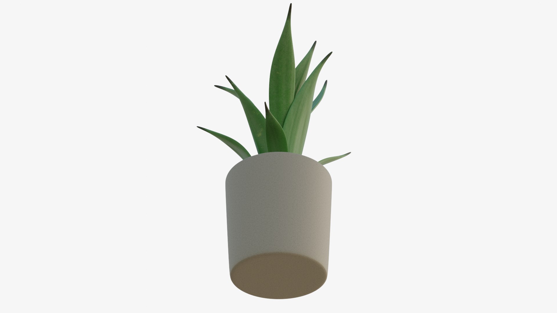 3D Potted Succulent Plant Model - TurboSquid 1581528