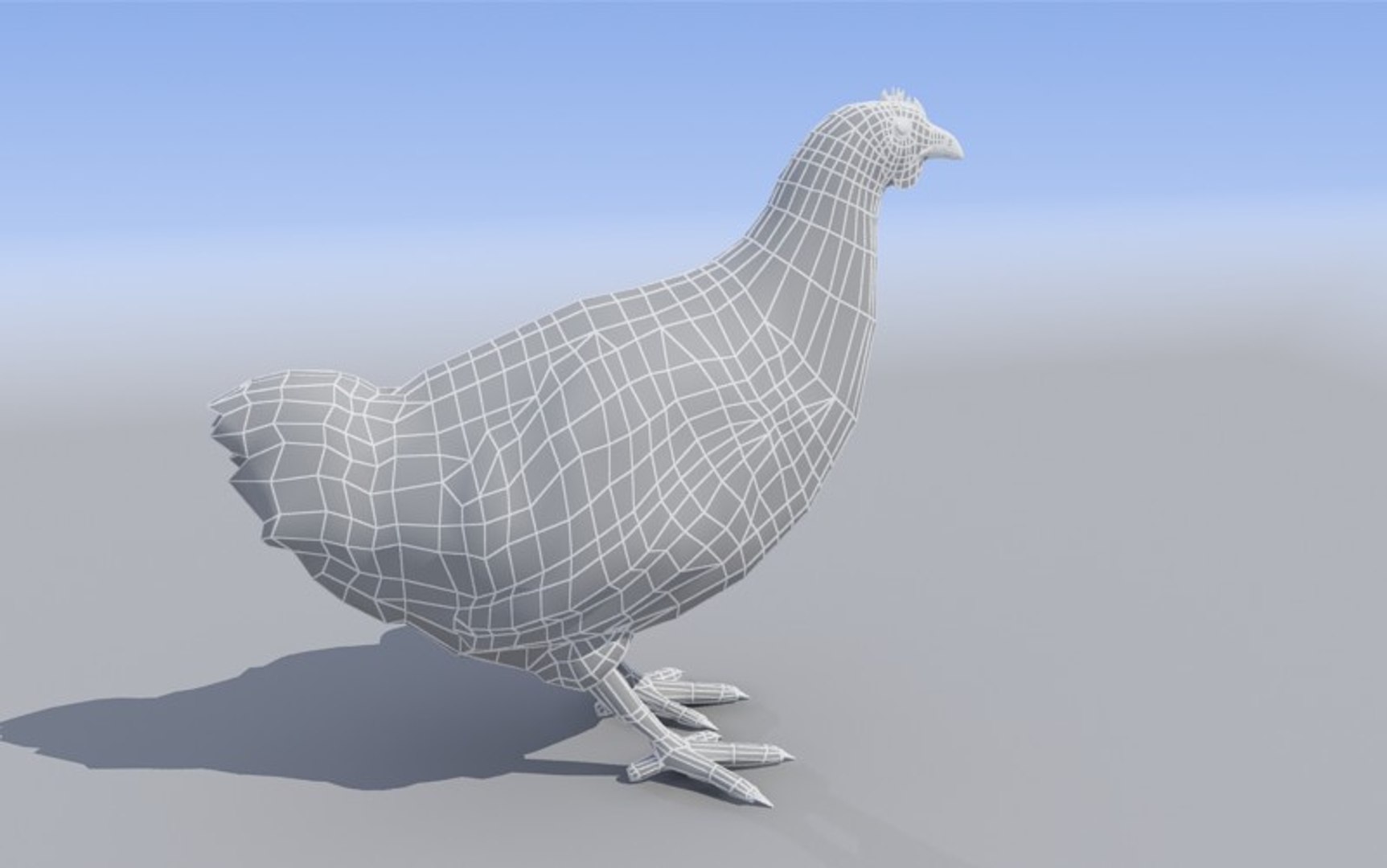 Black Head Chicken 3d Model