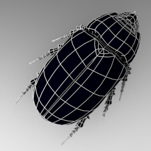 maya insect mosquito ladybird caterpillar