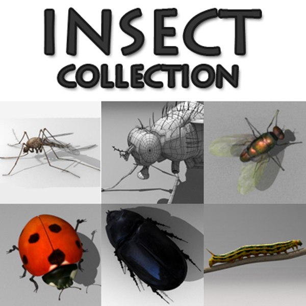 Worm 3D Models for Download | TurboSquid