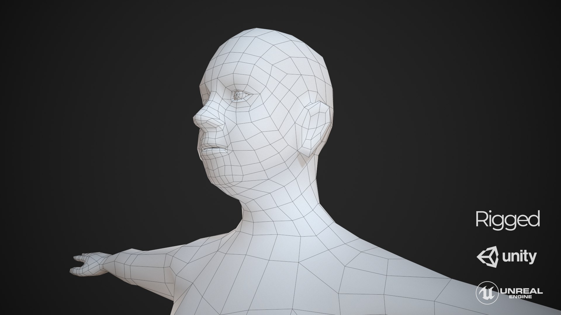 3D base mesh basemesh model - TurboSquid 1680986