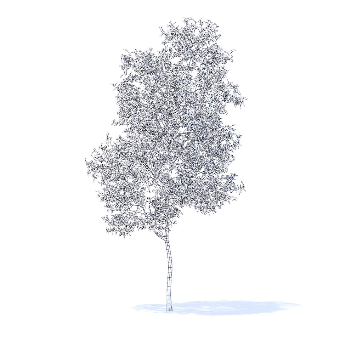 Apple tree 3 8m 3D - TurboSquid 1252200