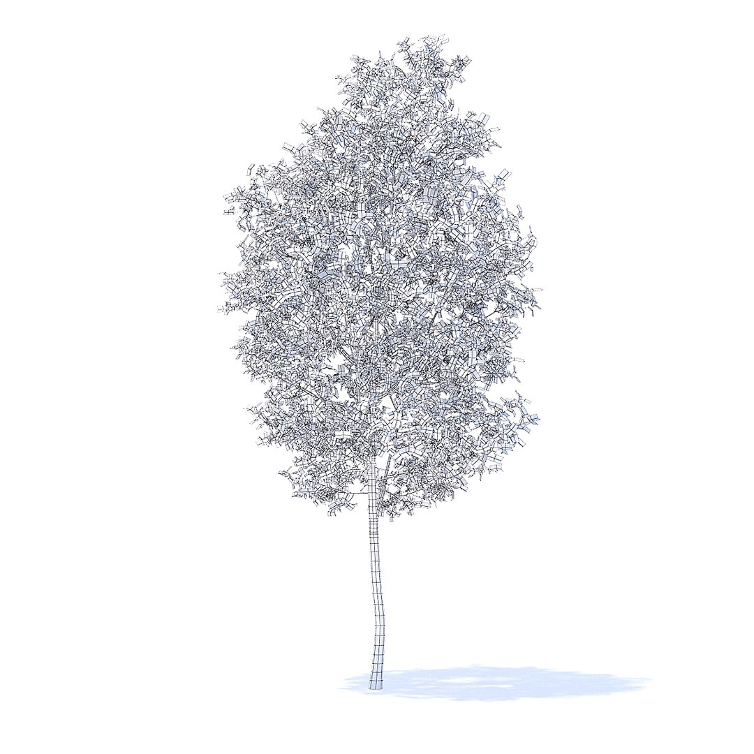 Apple tree 3 8m 3D - TurboSquid 1252200
