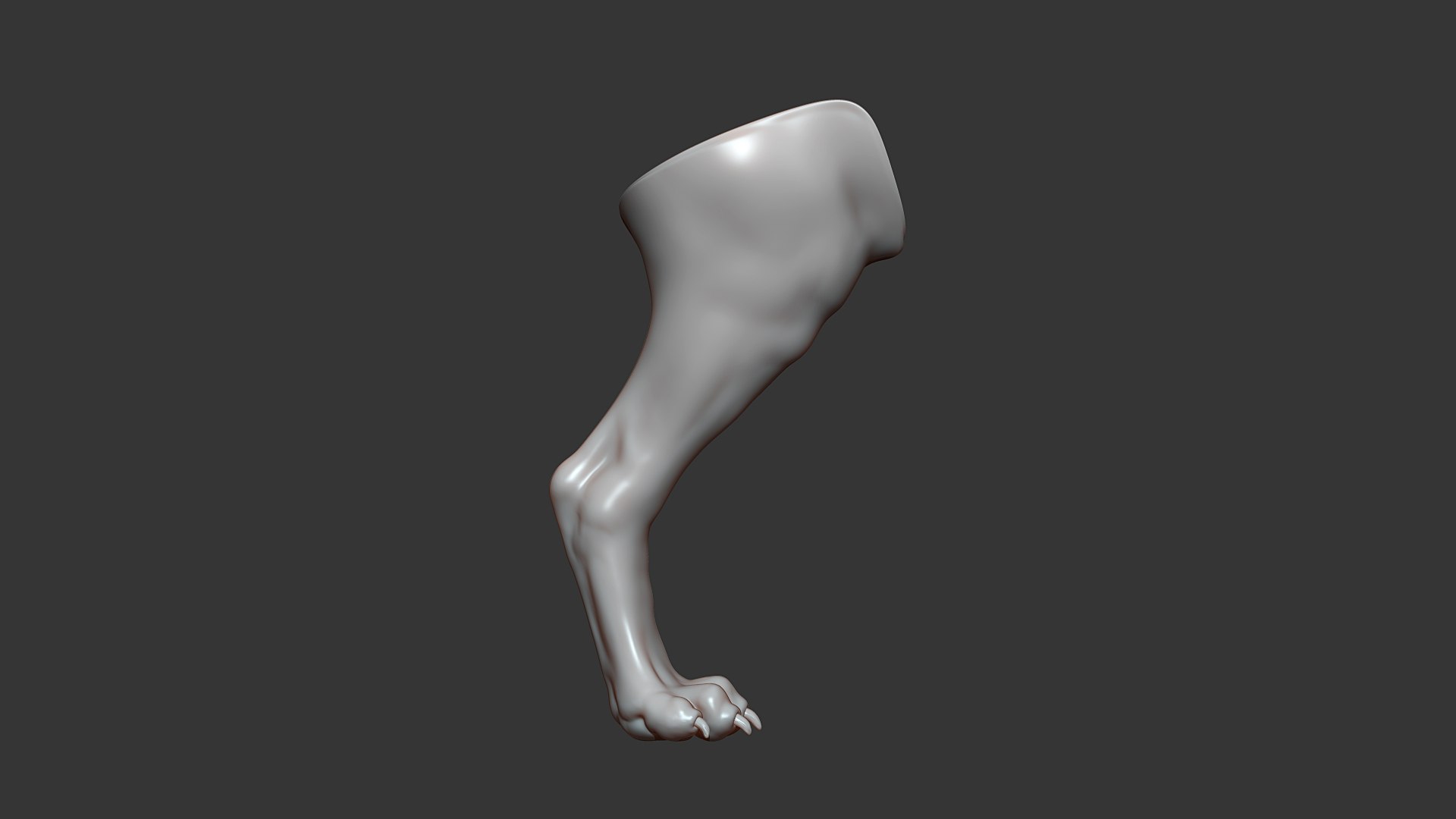 3D Model Dog Puppy Rear Leg Highpoly Sculpt - TurboSquid 1818442