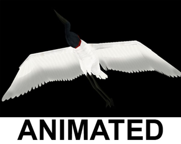 Bird Blender Models for Download | TurboSquid