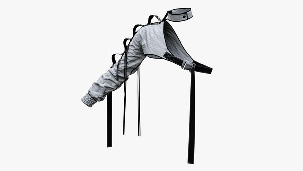 Modello 3D Manica monobraccio Techwear - TurboSquid 2434139