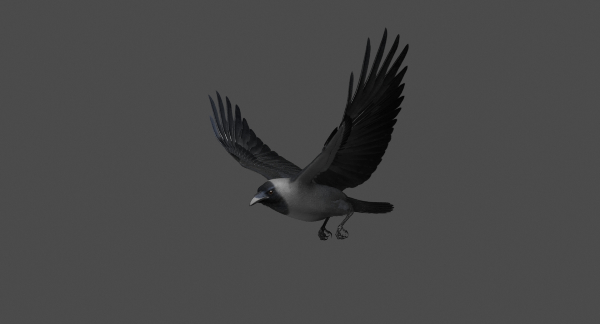 3d Model House Crow Animation Flying
