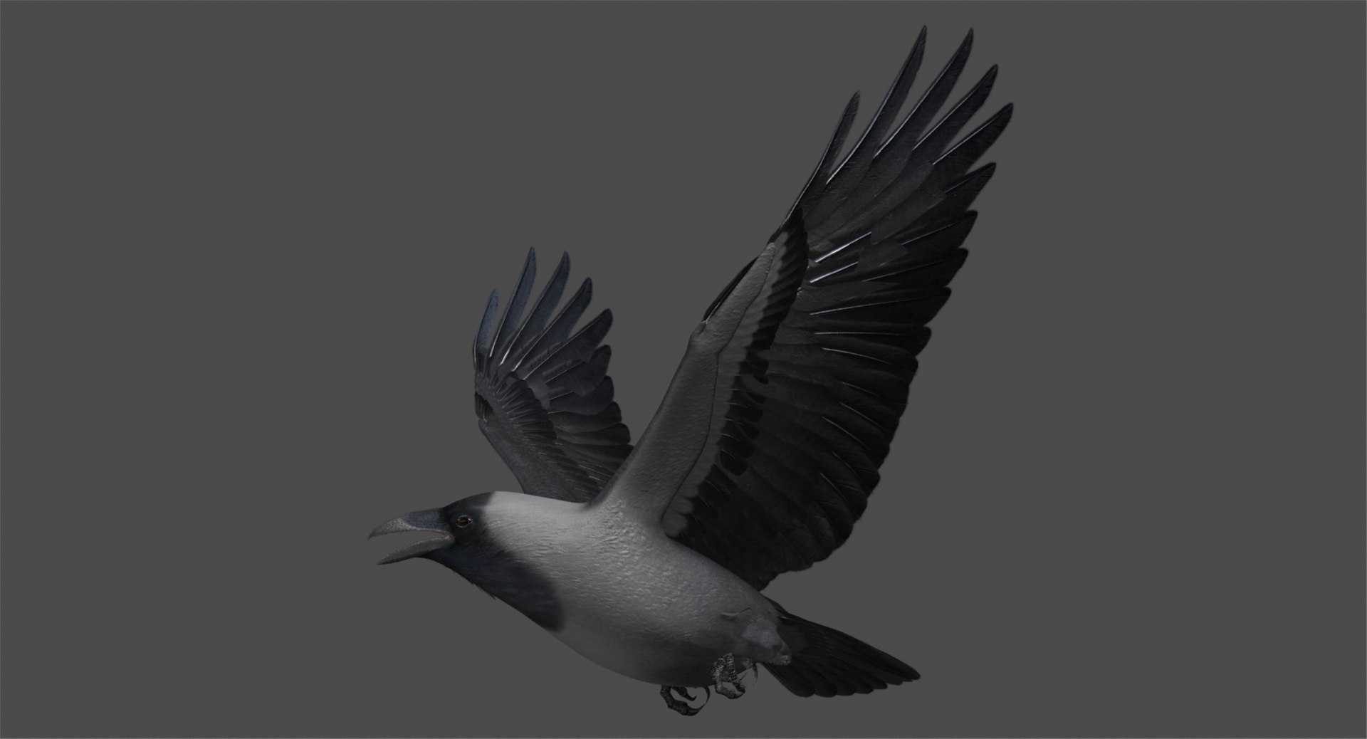 3d model house crow animation flying
