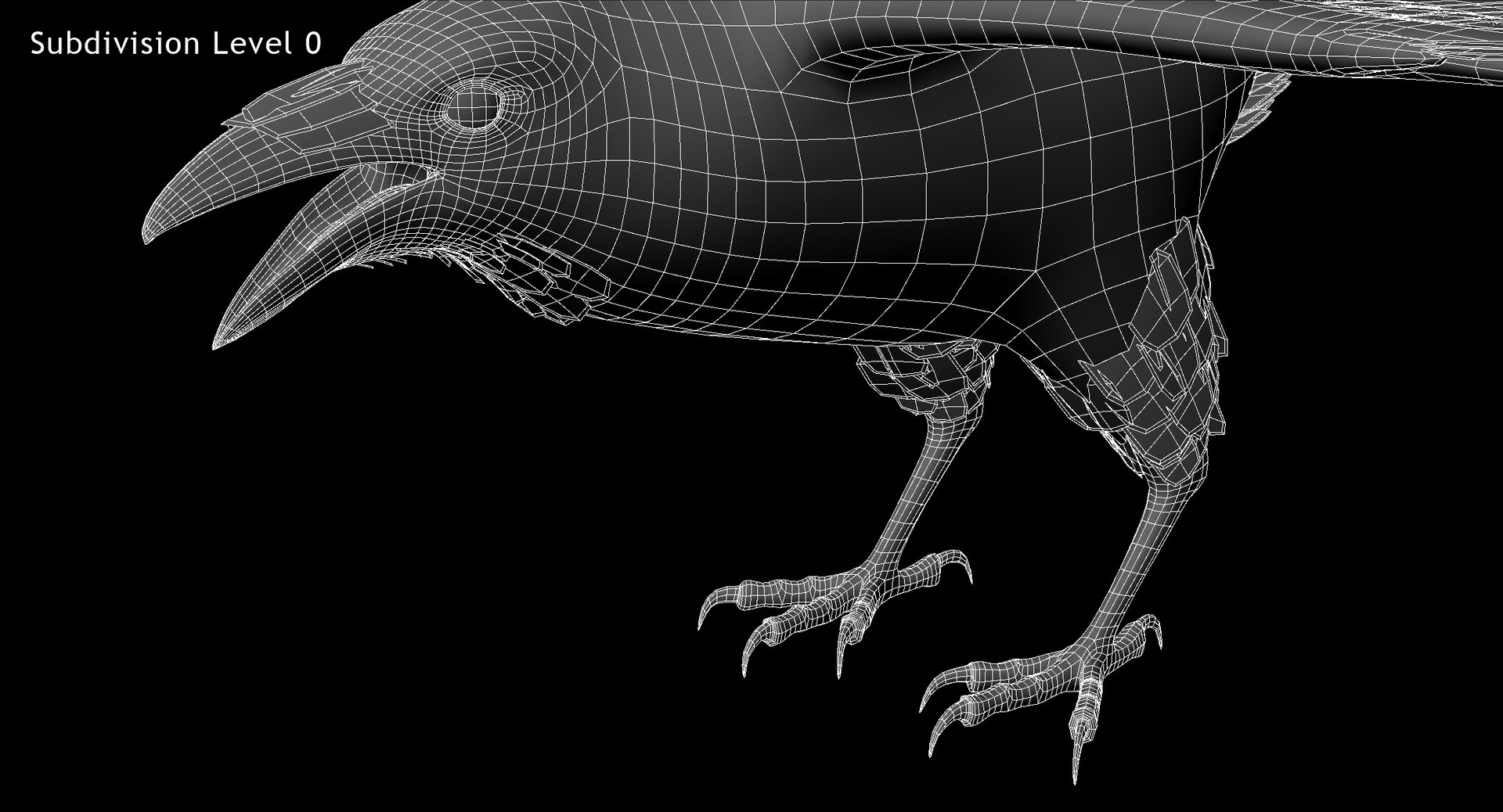 3d model house crow animation flying