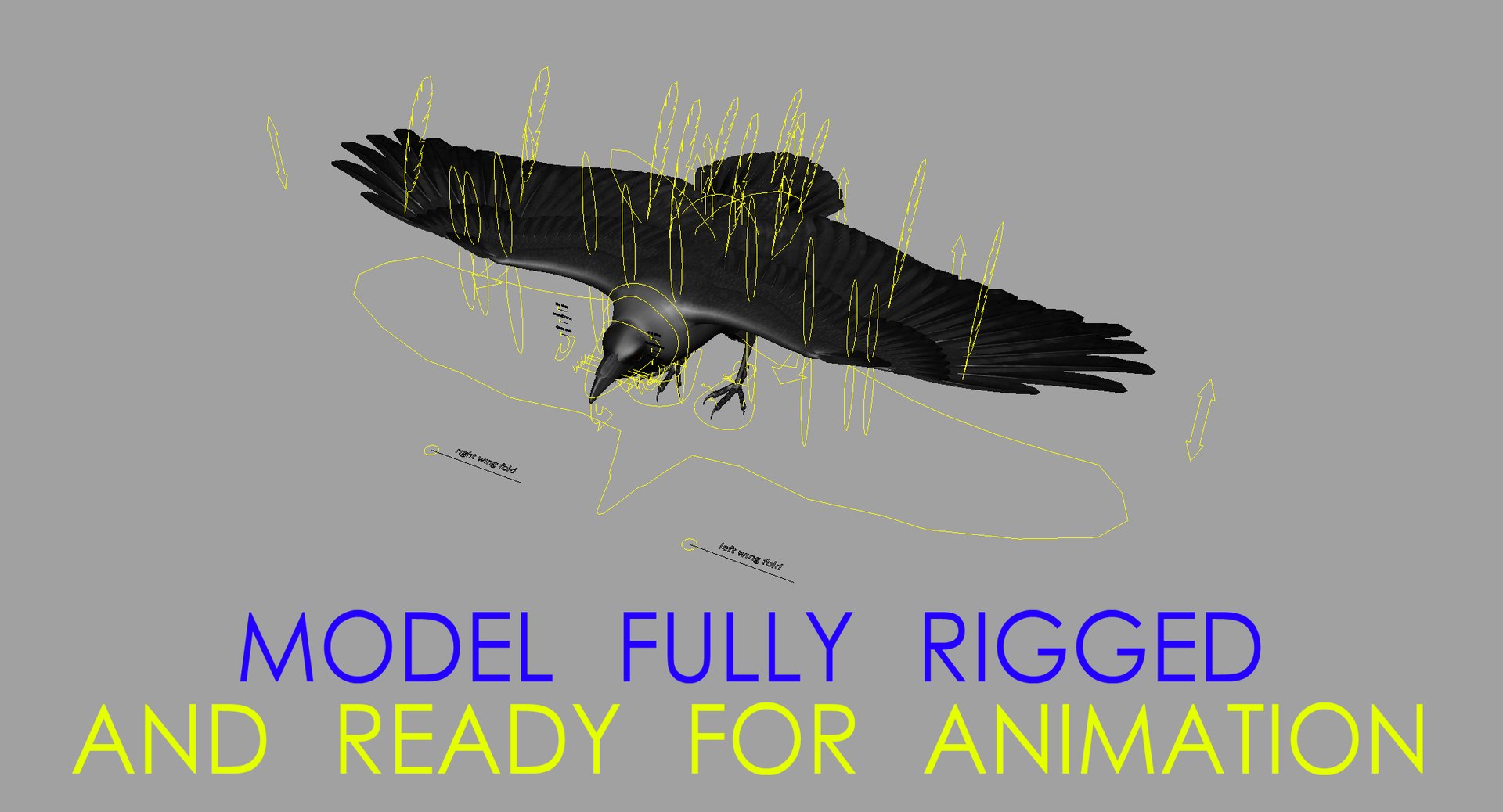 3d Model House Crow Animation Flying