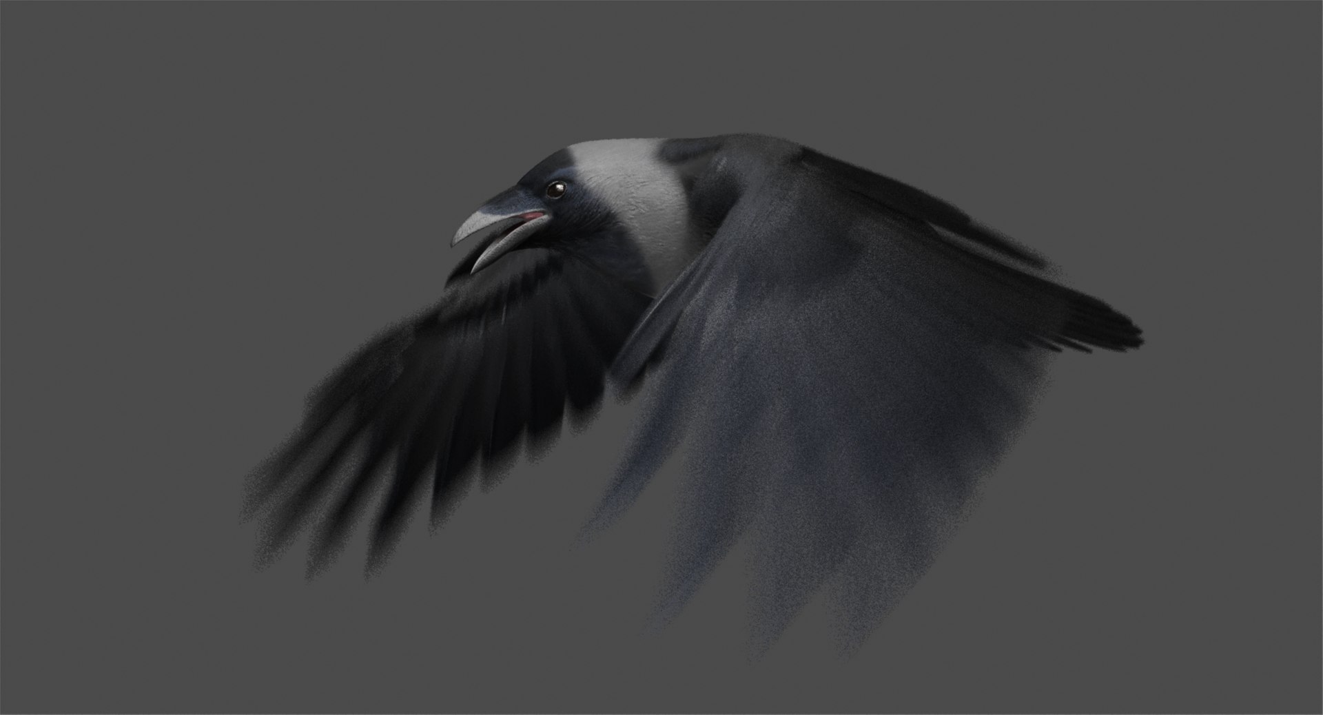 3d Model House Crow Animation Flying