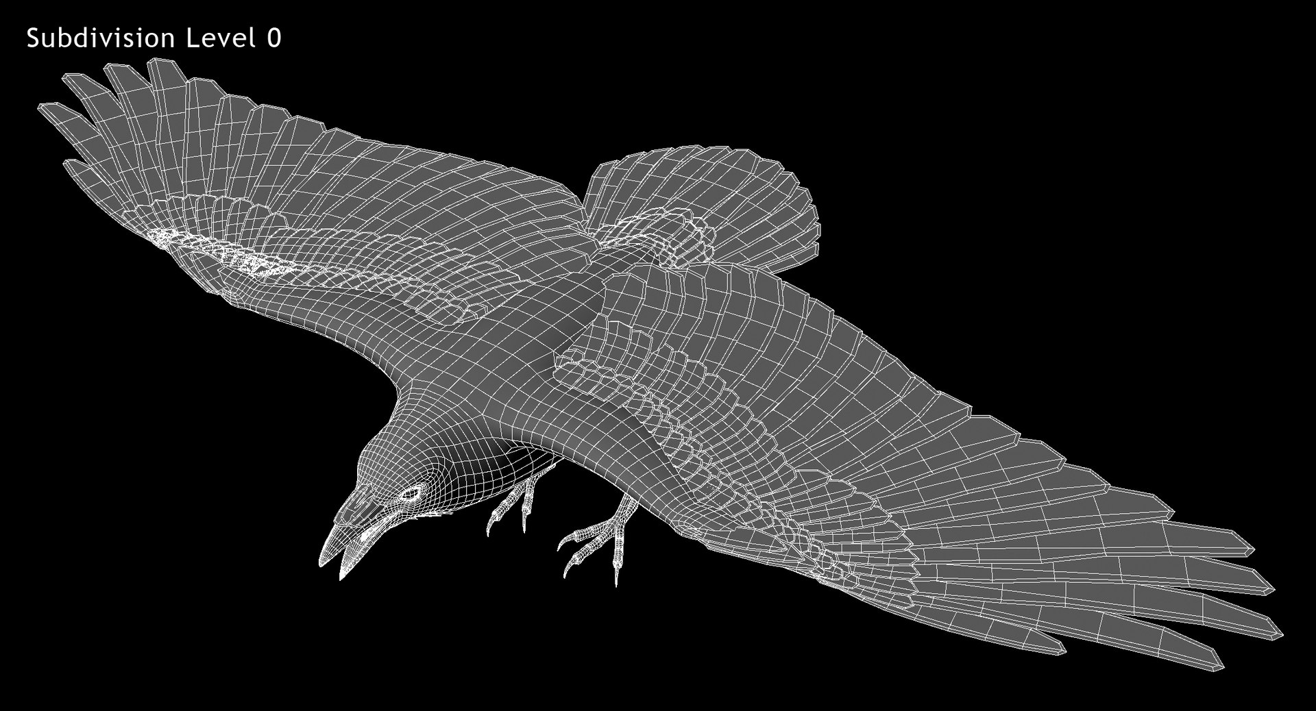 3d model house crow animation flying