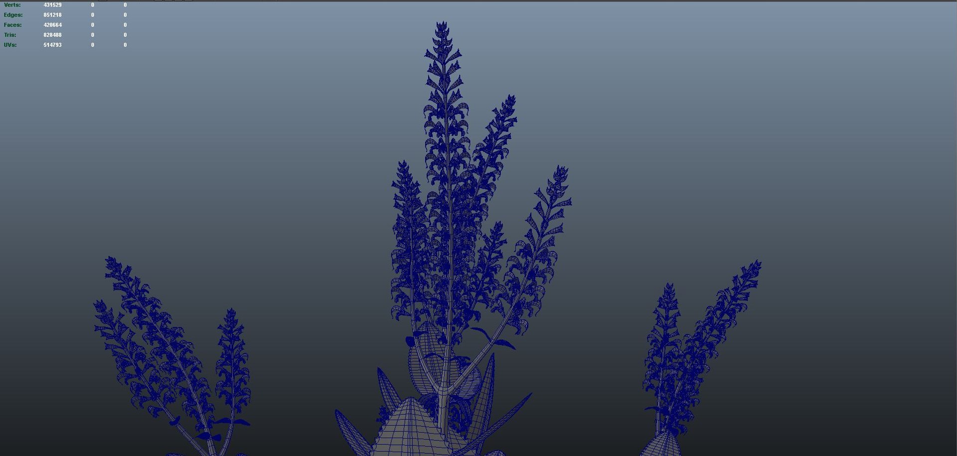 3D Salvia Plants Model - TurboSquid 1236728