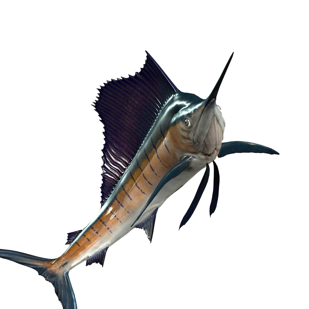 SWORDFISH SEA FISH OCEAN 3D Model - TurboSquid 2216844