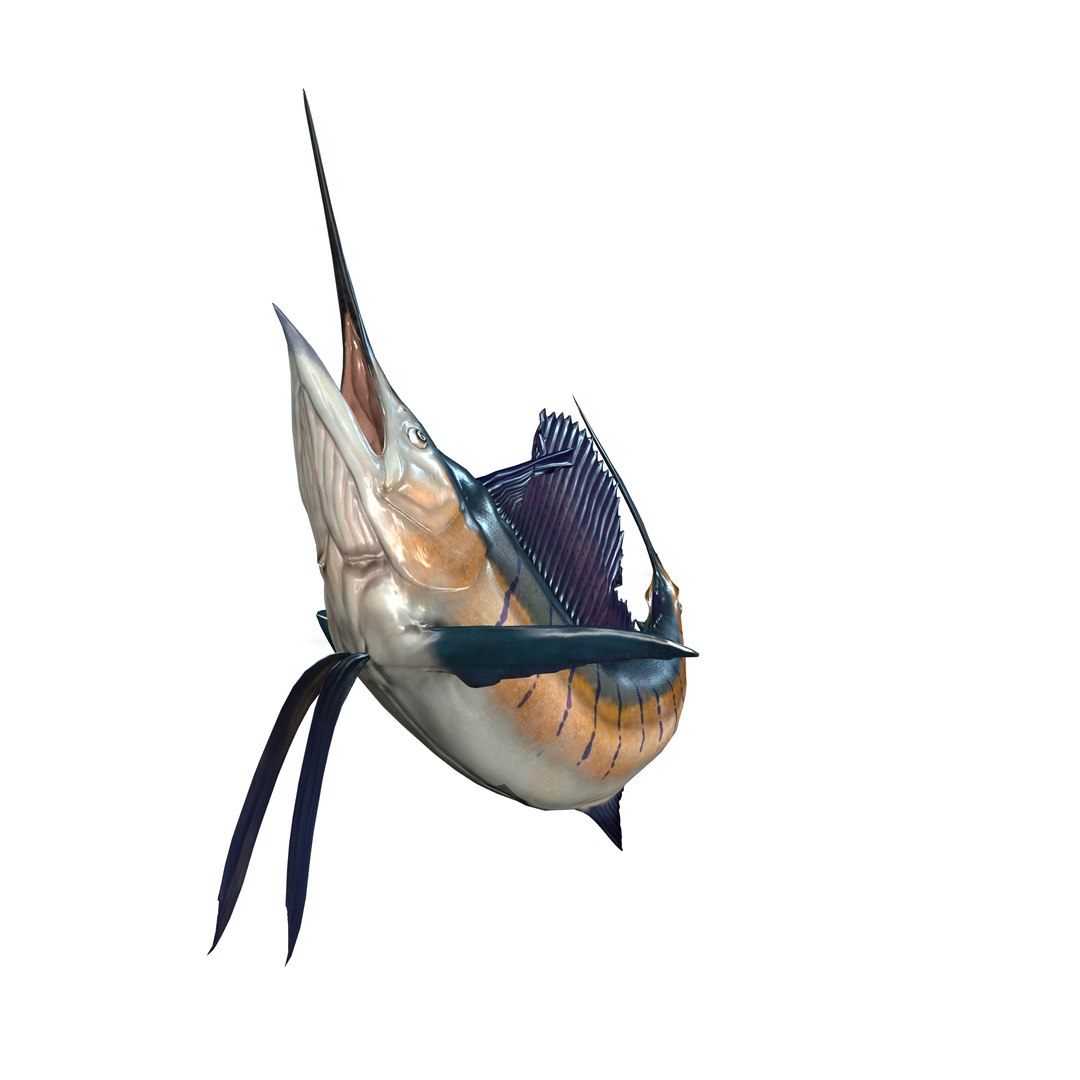 SWORDFISH SEA FISH OCEAN 3D Model - TurboSquid 2216844