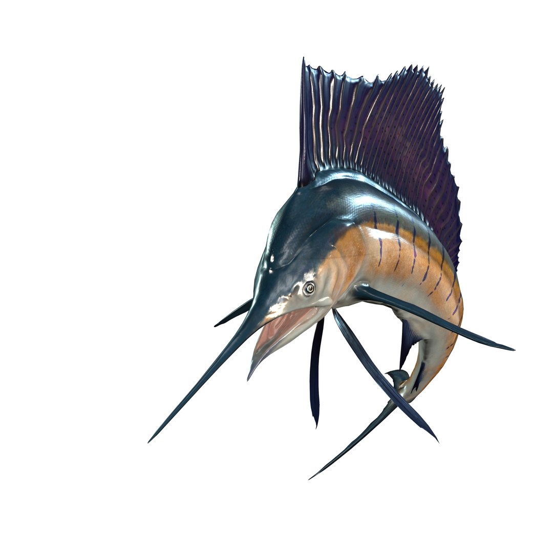 SWORDFISH SEA FISH OCEAN 3D Model - TurboSquid 2216844