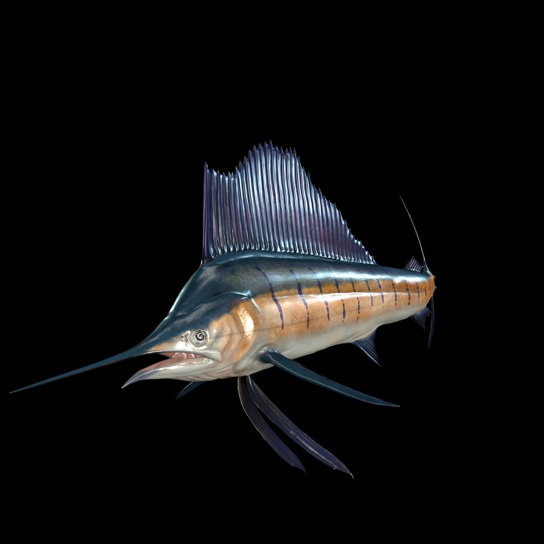 SWORDFISH SEA FISH OCEAN 3D Model - TurboSquid 2216844