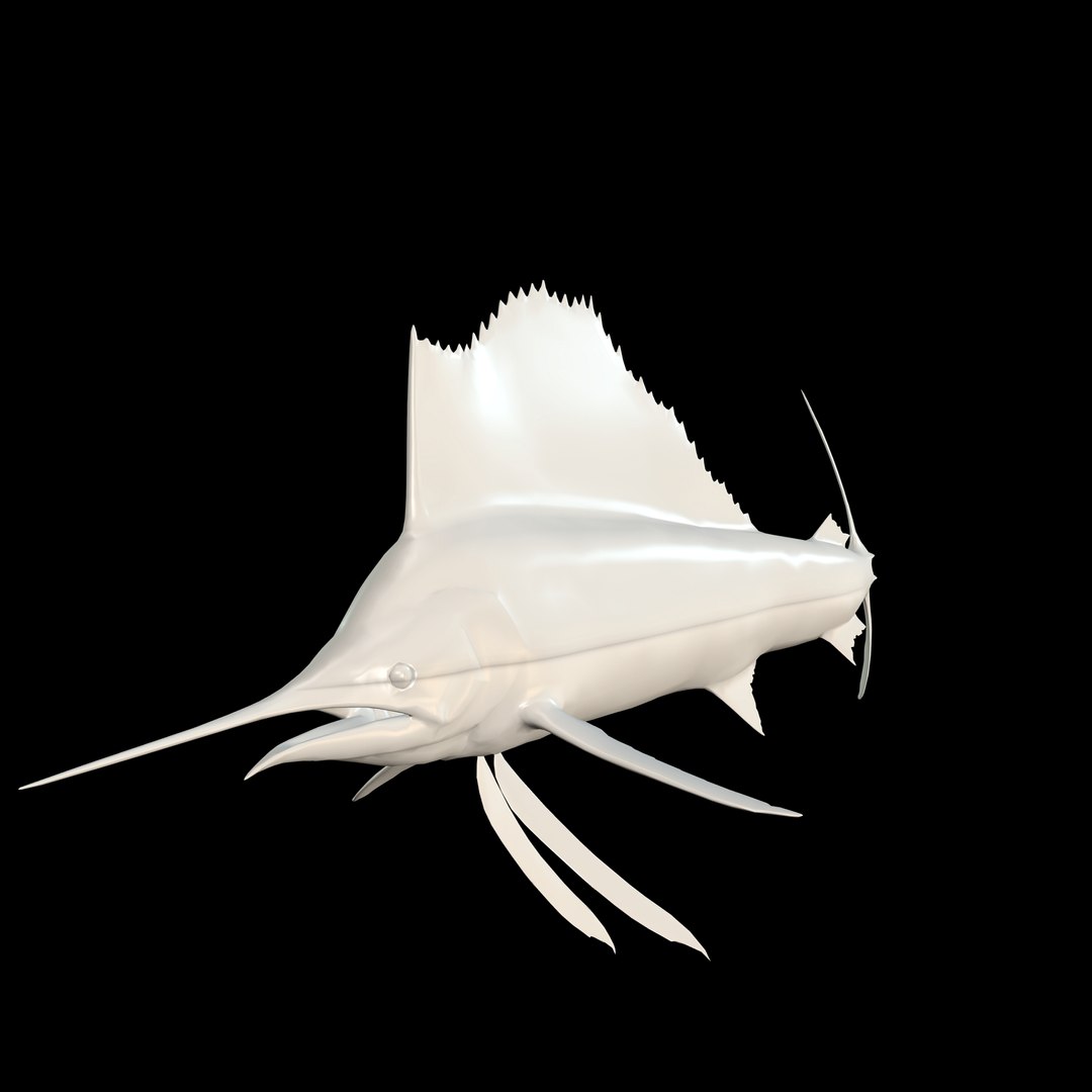 SWORDFISH SEA FISH OCEAN 3D Model - TurboSquid 2216844
