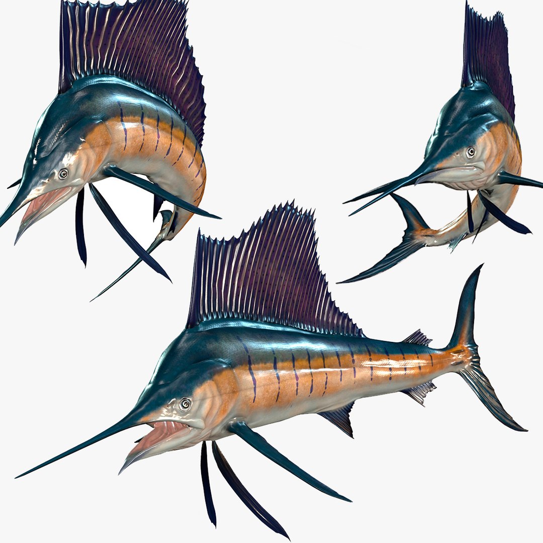 SWORDFISH SEA FISH OCEAN 3D Model - TurboSquid 2216844