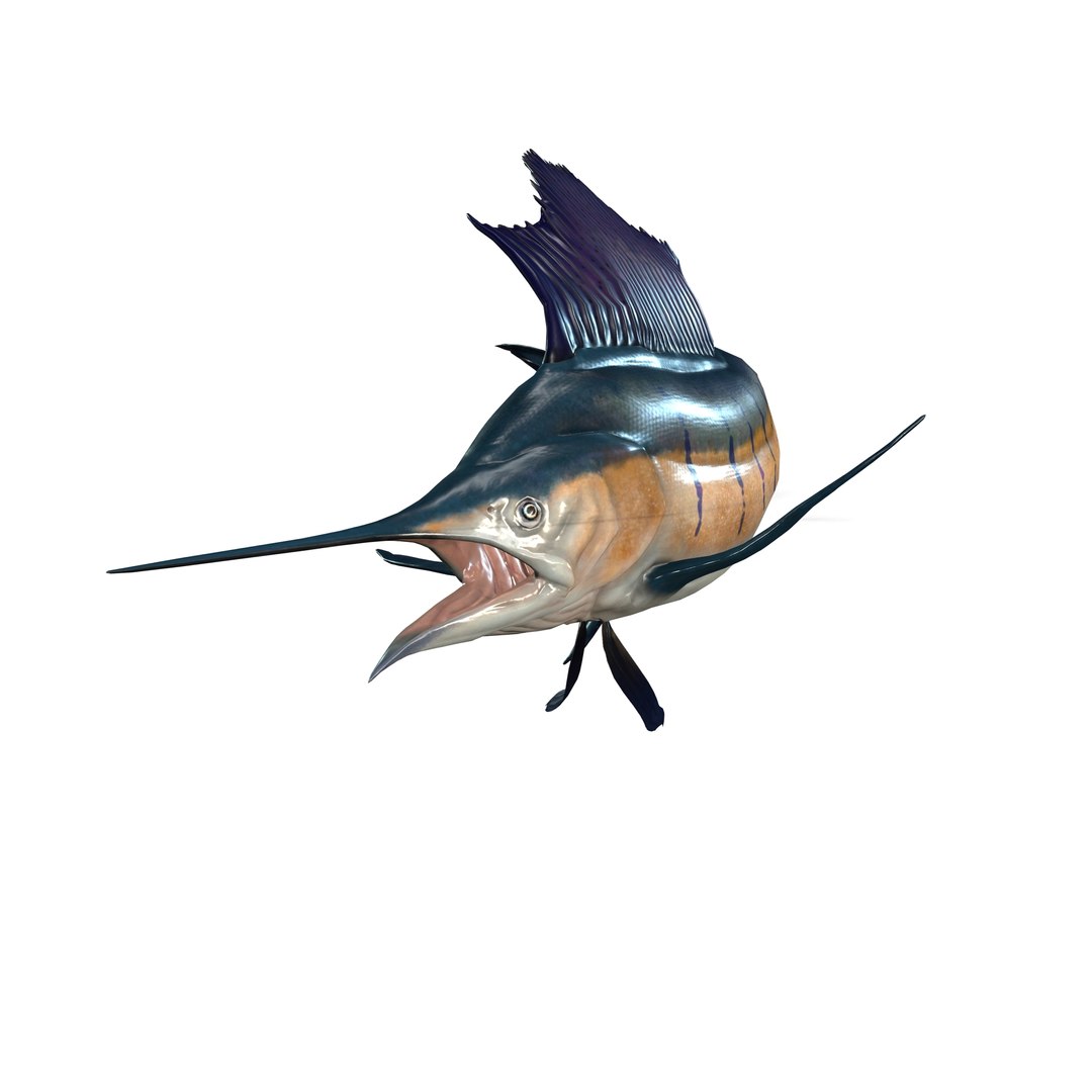 SWORDFISH SEA FISH OCEAN 3D Model - TurboSquid 2216844