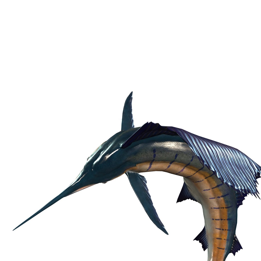 SWORDFISH SEA FISH OCEAN 3D Model - TurboSquid 2216844