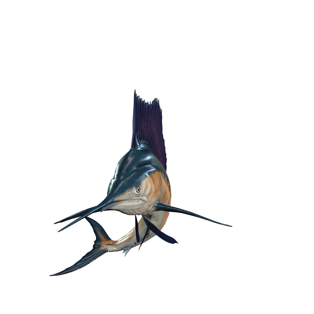 SWORDFISH SEA FISH OCEAN 3D Model - TurboSquid 2216844