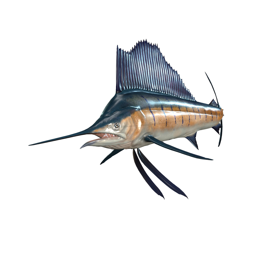 SWORDFISH SEA FISH OCEAN 3D Model - TurboSquid 2216844